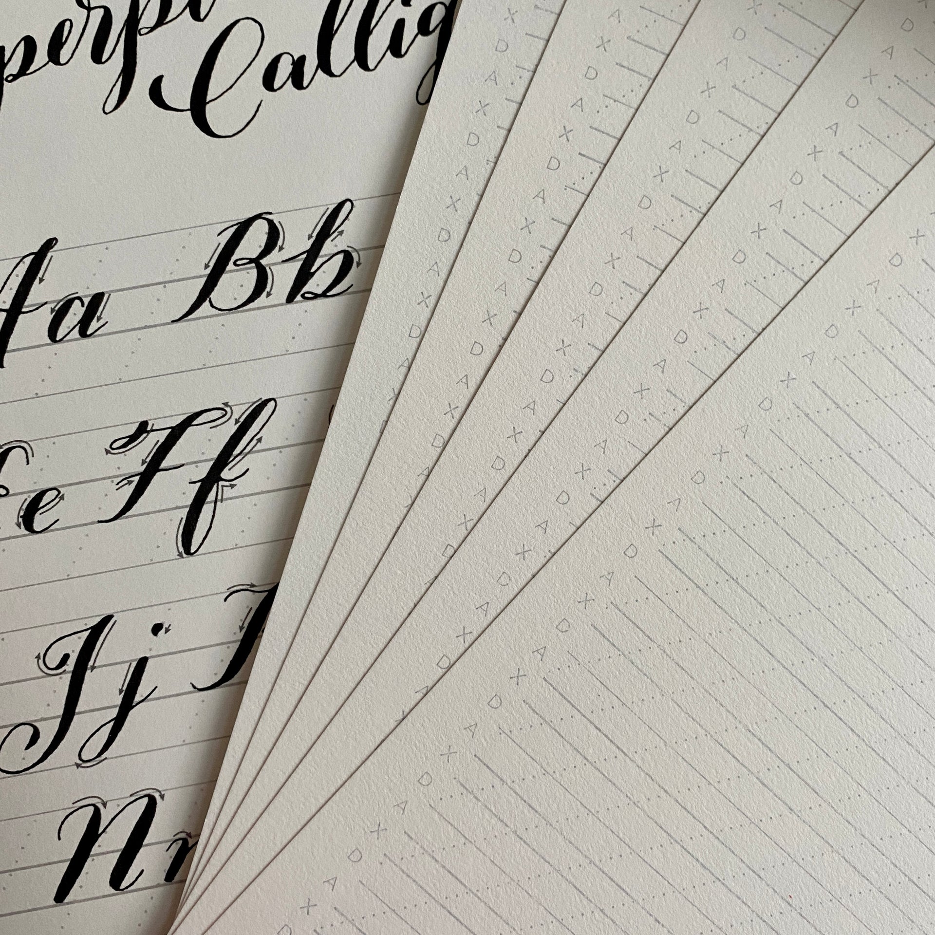 Copperplate Calligraphy Beginner Kit – Meticulous Ink